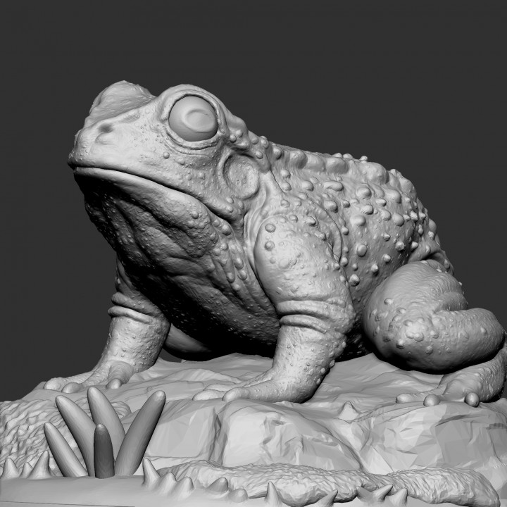 3D Printable Frog by YD STUDIO