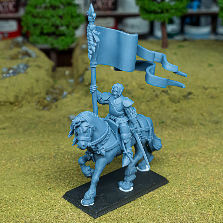 3D Printable Baroness of Gallia - Highlands Miniatures by Highlands ...