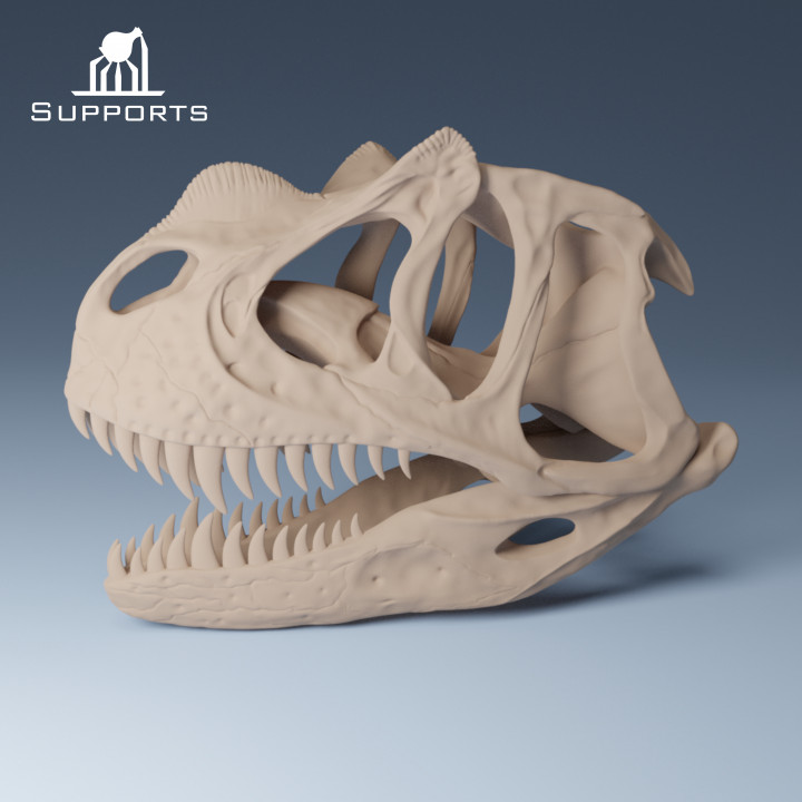3D Printable Dinosaur Skulls 1 by The King of Bits