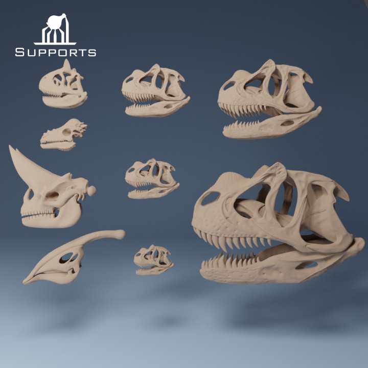 3D Printable Dinosaur Skulls 1 by The King of Bits