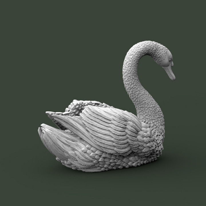 3D Printable SWAN by Dmitry Tishchenkov