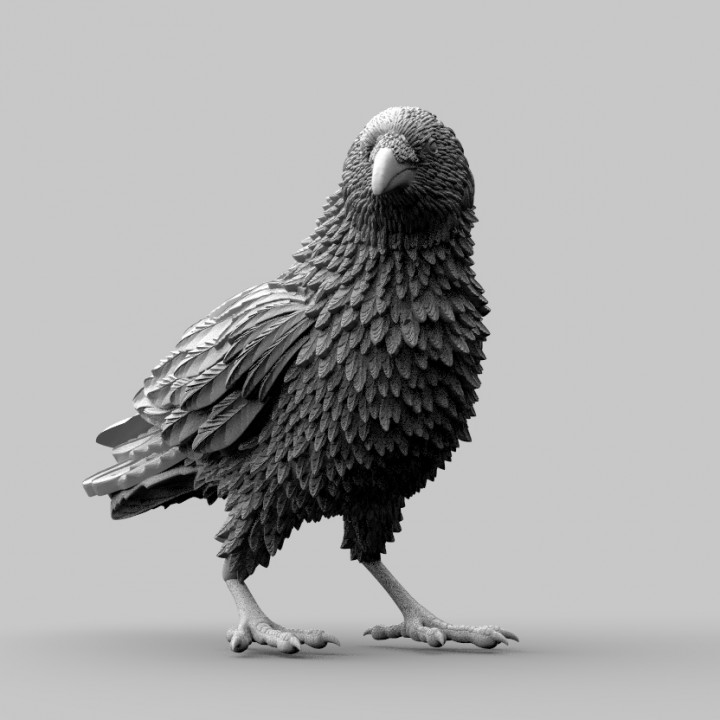 3D Printable bird by Dmitry Tishchenkov
