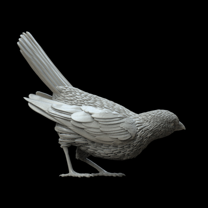 3D Printable bird by 3Dimontis