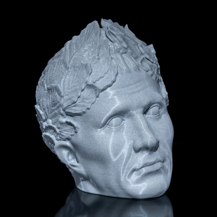 3D Printable Head of Rome by Stlflix