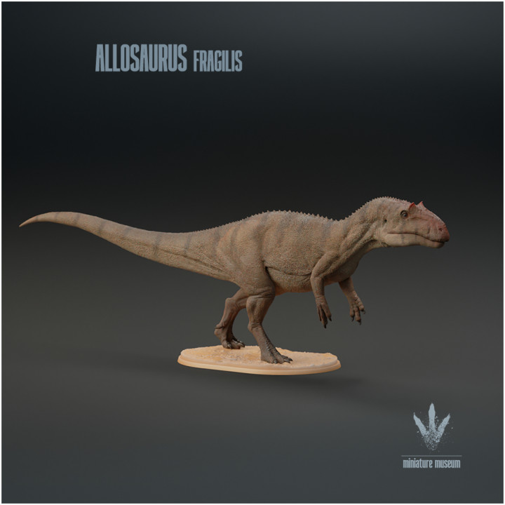 3D Printable Allosaurus fragilis : The Jurassic Terror by Miniature Museum