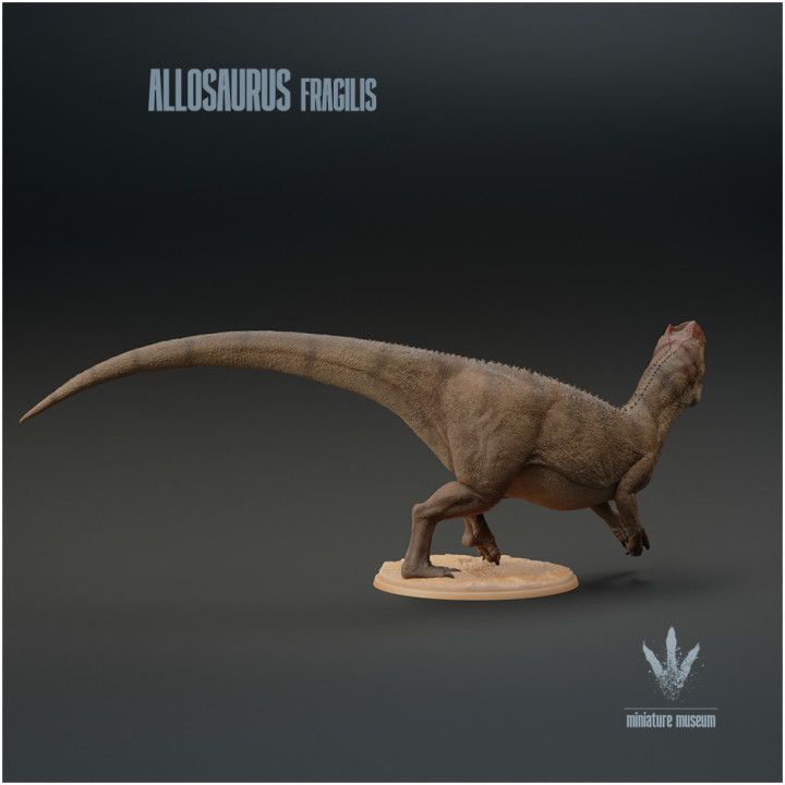 3D Printable Allosaurus fragilis : Apex Predator by Miniature Museum