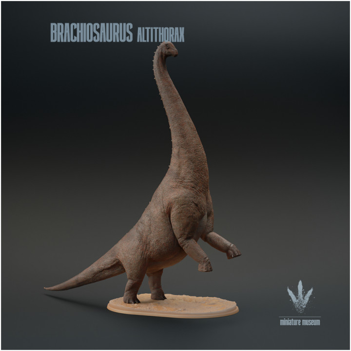 3D Printable Brachiosaurus altithorax : Standing by Miniature Museum