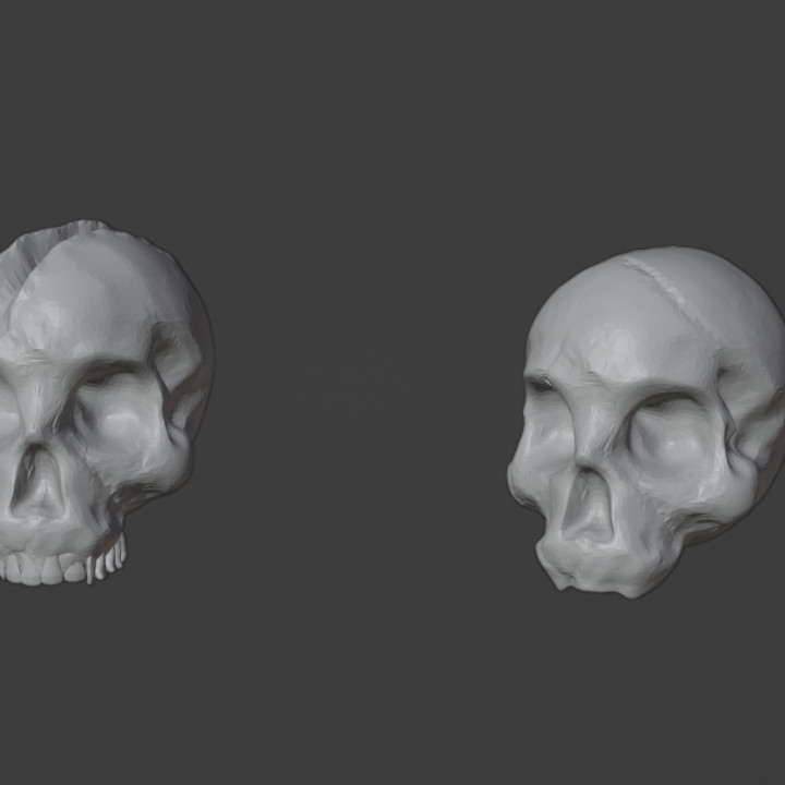 3D Printable Skulls for Basing - Basing Bits by Voy Forges