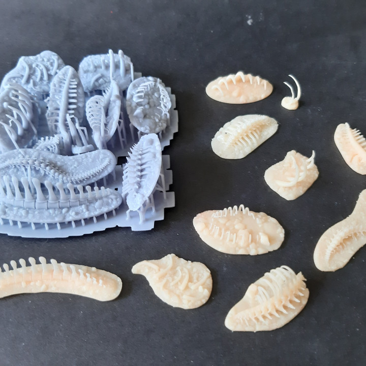 3D Printable Bone Bits - Spines And Ribs For Basing by Voy Forges