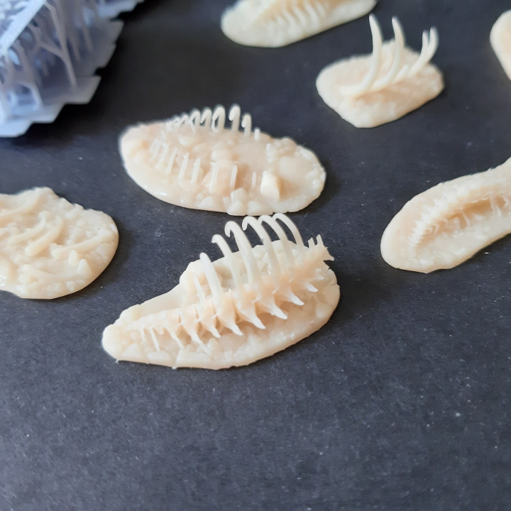 3D Printable Bone Bits - Spines And Ribs For Basing by Voy Forges