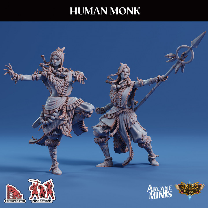 3D Printable Human Monk - Female by Sordane Publishing