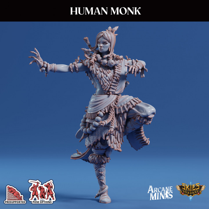 3D Printable Human Monk - Female by Sordane Publishing
