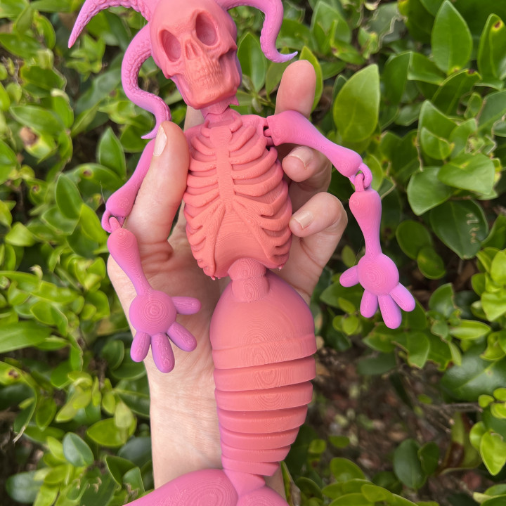 3D Printable Articulated Mermaid skeleton by Biskuits