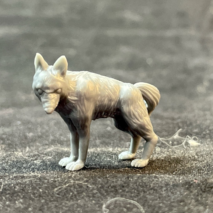 3D Printable Wyneste and his animal companions from Gooey Cube(tm) by ...