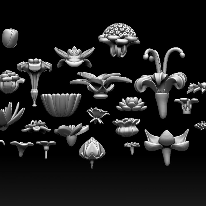 3D Printable flowers by Dmitry Tishchenkov
