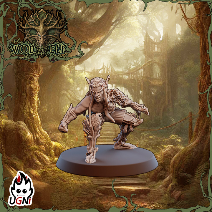 Téléchargement Lineman #02 - Wood Elf Team par UGNI Miniatures