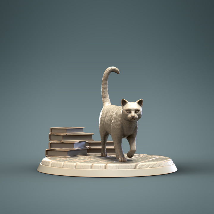 3D Printable Magic pack by clynche art