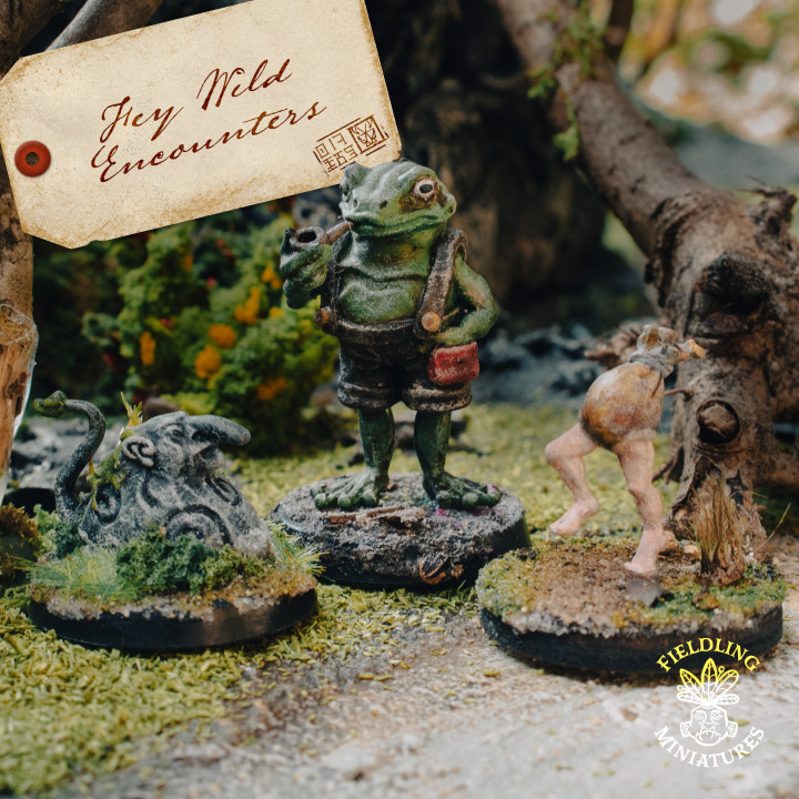 3D Printable Fey Wild Encounters - Trollrock, Frog Gentleman and ...
