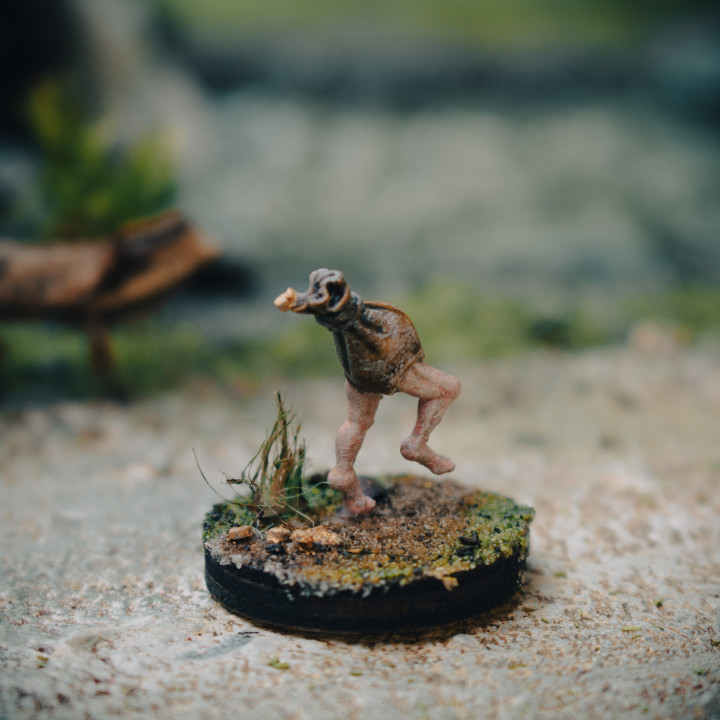 3D Printable Fey Wild Encounters - Trollrock, Frog Gentleman and ...