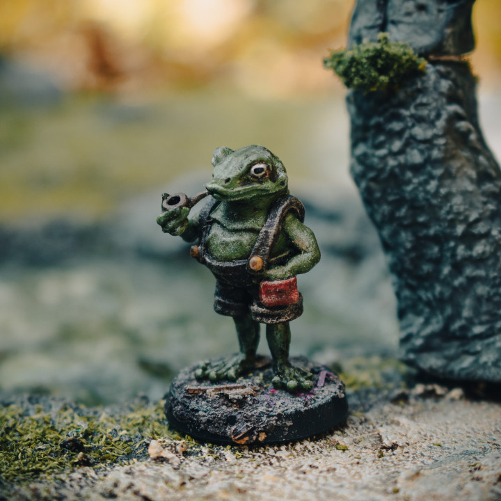 3D Printable Fey Wild Encounters - Trollrock, Frog Gentleman and ...
