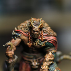3D Printable Xander, Chaos Upbringer (Half-Demon Fighter) by Flesh of Gods