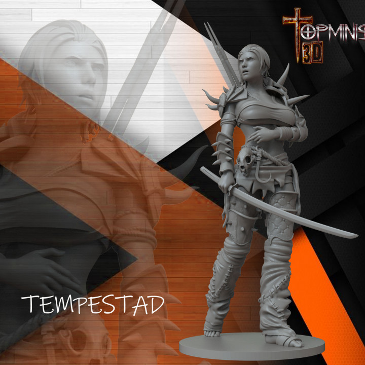 3D Printable VIKING WARRIOR RPG TABLETOP by Ignacio Berbel Garcia