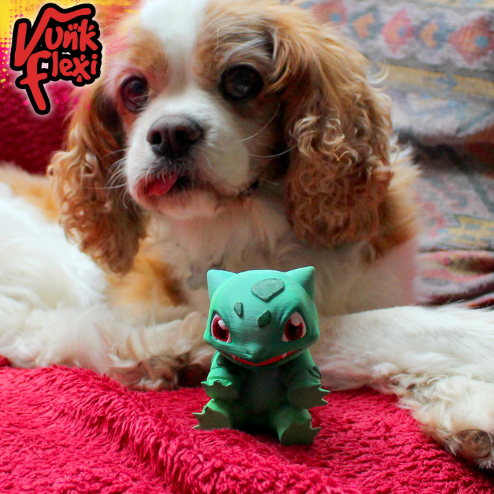 3D Printable Pokemon Bulbasaur Flexi Print-In-Place + figure & keychain ...