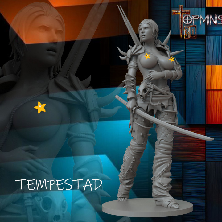 3D Printable VIKING WARRIOR RPG TABLETOP by Ignacio Berbel Garcia