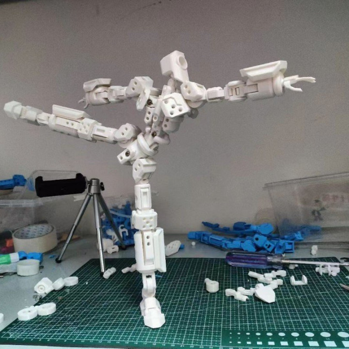 3D Print of "SACRU OSSE" Highly Mobile Skeleton Robot by haiqiangtian