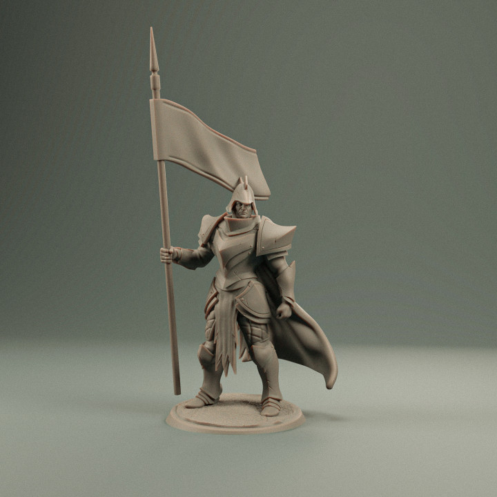 3D Printable Human Lancer flag by Dinoworld