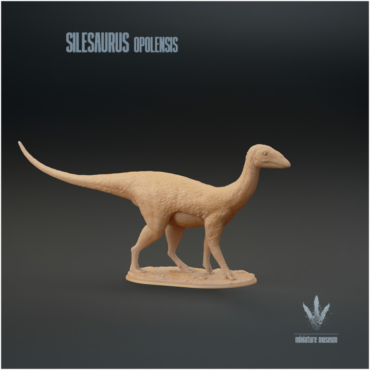 3D Printable Silesaurus opolensis : The Ancient Dinosaur by Miniature ...