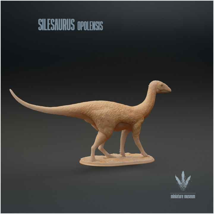 3D Printable Silesaurus opolensis : The Ancient Dinosaur by Miniature ...