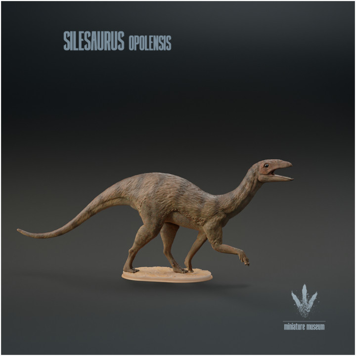 3D Printable Silesaurus opolensis : Walking by Miniature Museum