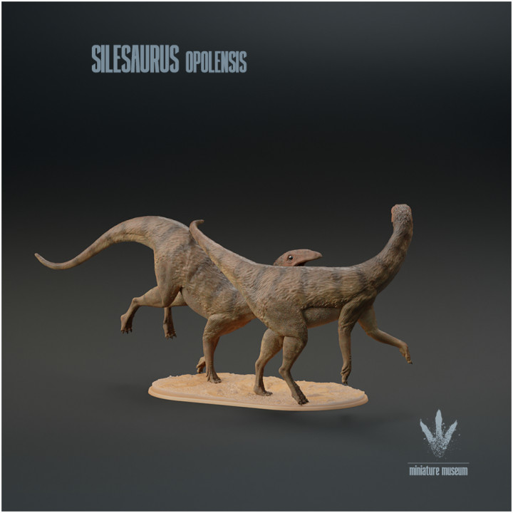 3D Printable Silesaurus opolensis : Couple by Miniature Museum