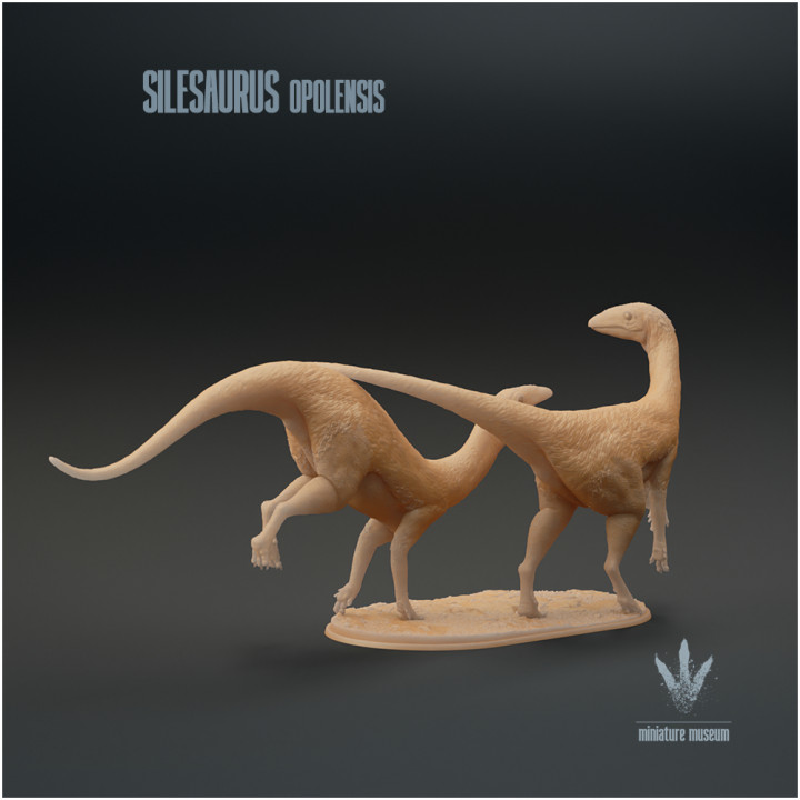 3D Printable Silesaurus opolensis : Couple by Miniature Museum