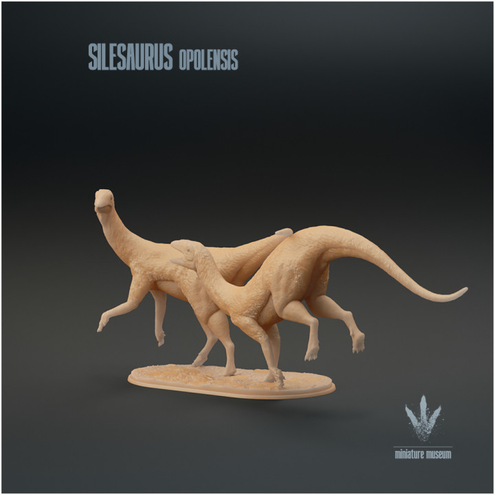 3D Printable Silesaurus opolensis : Couple by Miniature Museum