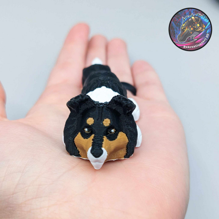 3D Printable Baby Dog and Cat Flexi Keychains (Set of 8) by Kirsten M