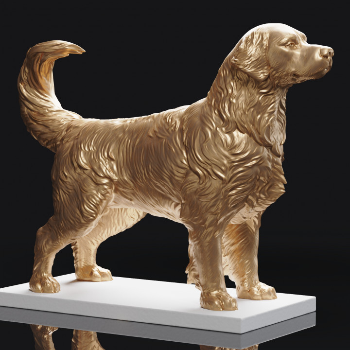 Golden Retriever 3d Model Golden Retriever Figure 3d Model CGStudio