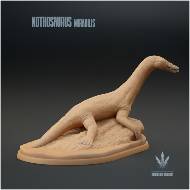 3D Printable Nothosaurus mirabilis : Resting by Miniature Museum