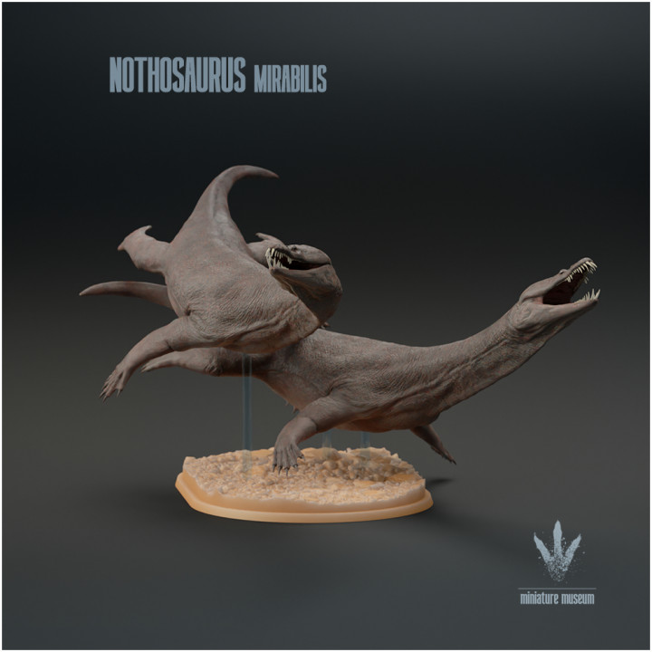 3D Printable Nothosaurus mirabilis : Swimming by Miniature Museum