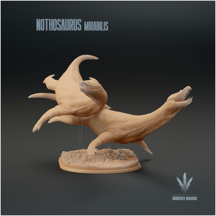 3D Printable Nothosaurus mirabilis : Swimming by Miniature Museum