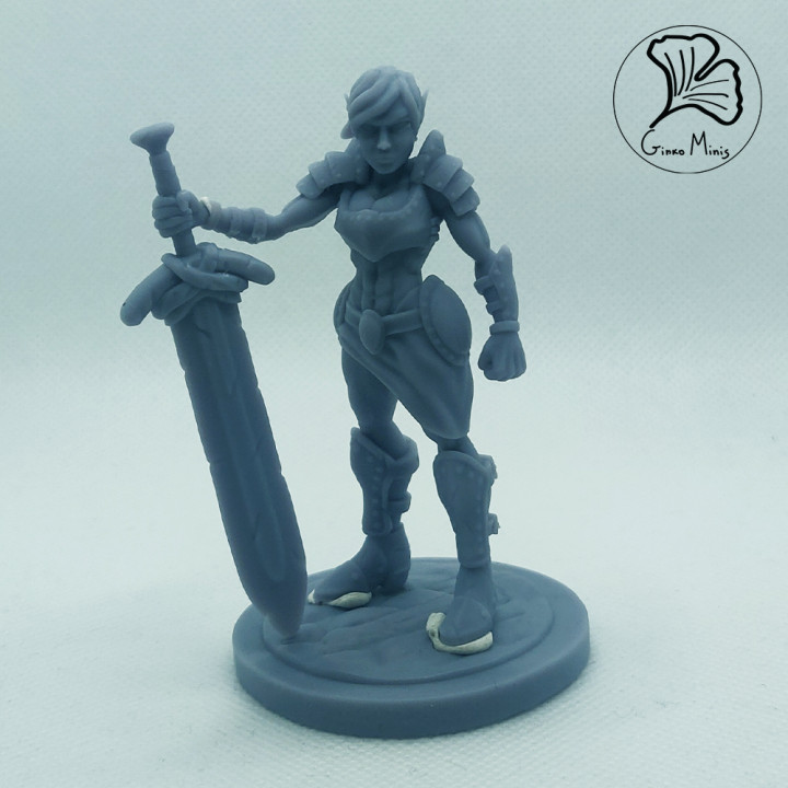 3D Printable Warriors bundle by Ginko Minis