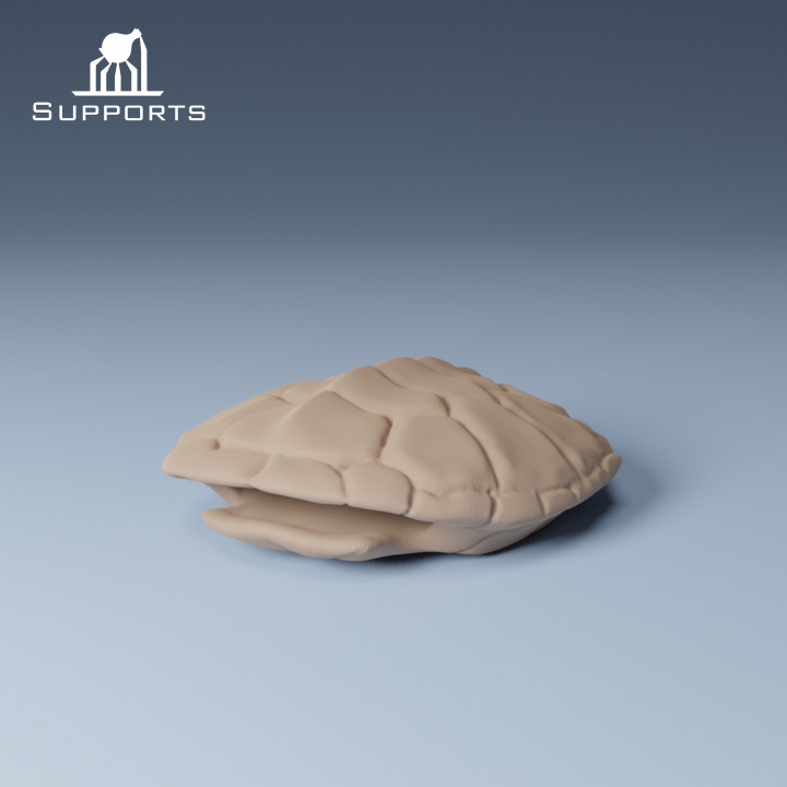 3D Printable Turtle shell group 1 by The King of Bits