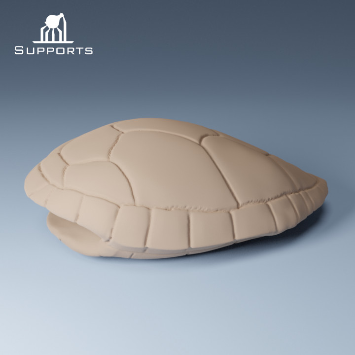 3D Printable Turtle shell group 1 by The King of Bits