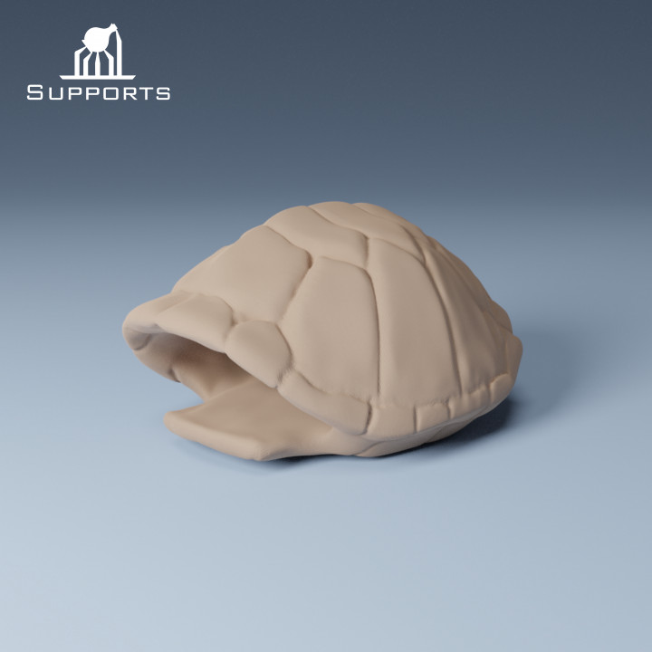 3D Printable Turtle shell group 1 by The King of Bits