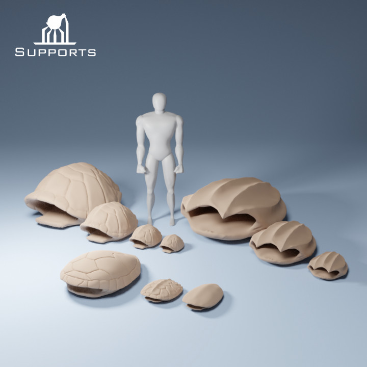 3D Printable Turtle shell group 1 by The King of Bits