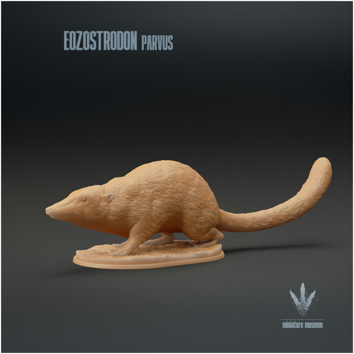 3D Printable Eozostrodon parvus : Triassic Mammal by Miniature Museum