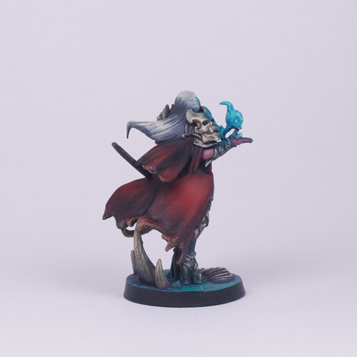 3D Printable [PDF Only] (Painting Guide) Hero Necromancer Female by ...