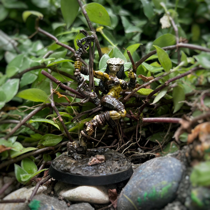 3D Print of WIDOW SKULL HUNTER WASP by Papsikels