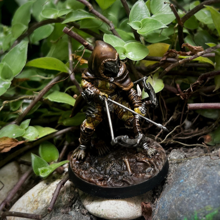 3D Print of WIDOW SKULL HUNTER SI EL by Papsikels